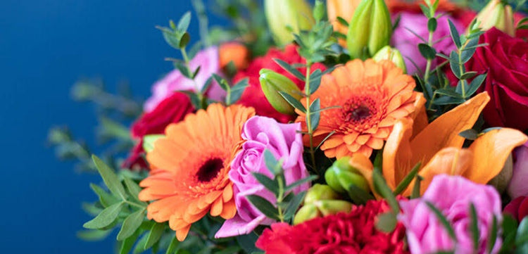 Welcome to Empire Flowers - Premium Bulk Fresh Cut Flowers
