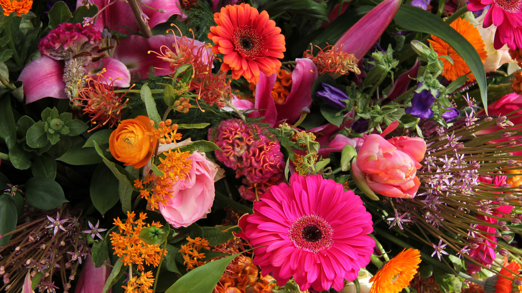 Flowers – Empire Flowers